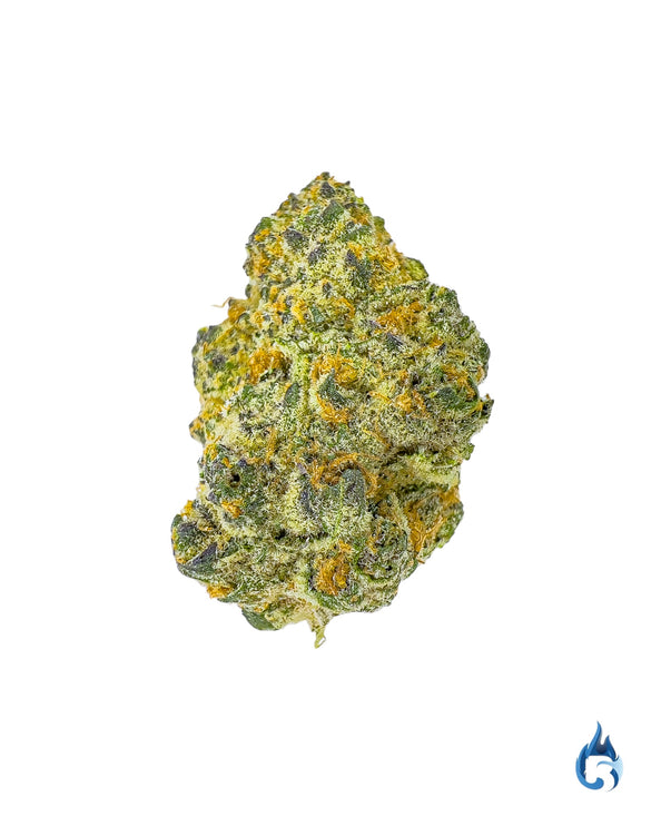 Flower – BlazeUp.io
